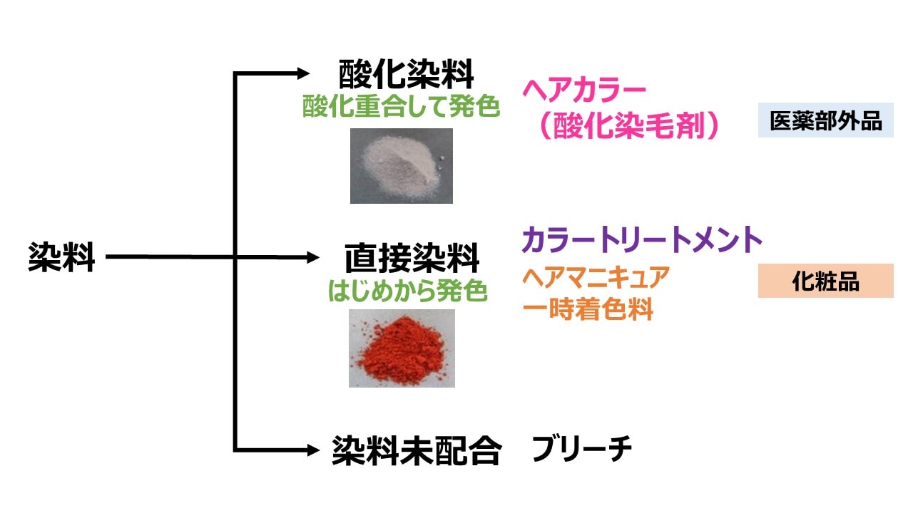 【レポート】ヘアカラーメーカーの研究員によるアレルギーセミナーを実施しました！ | ライフスタイル | LICOLO - 髪から自分を好きになる